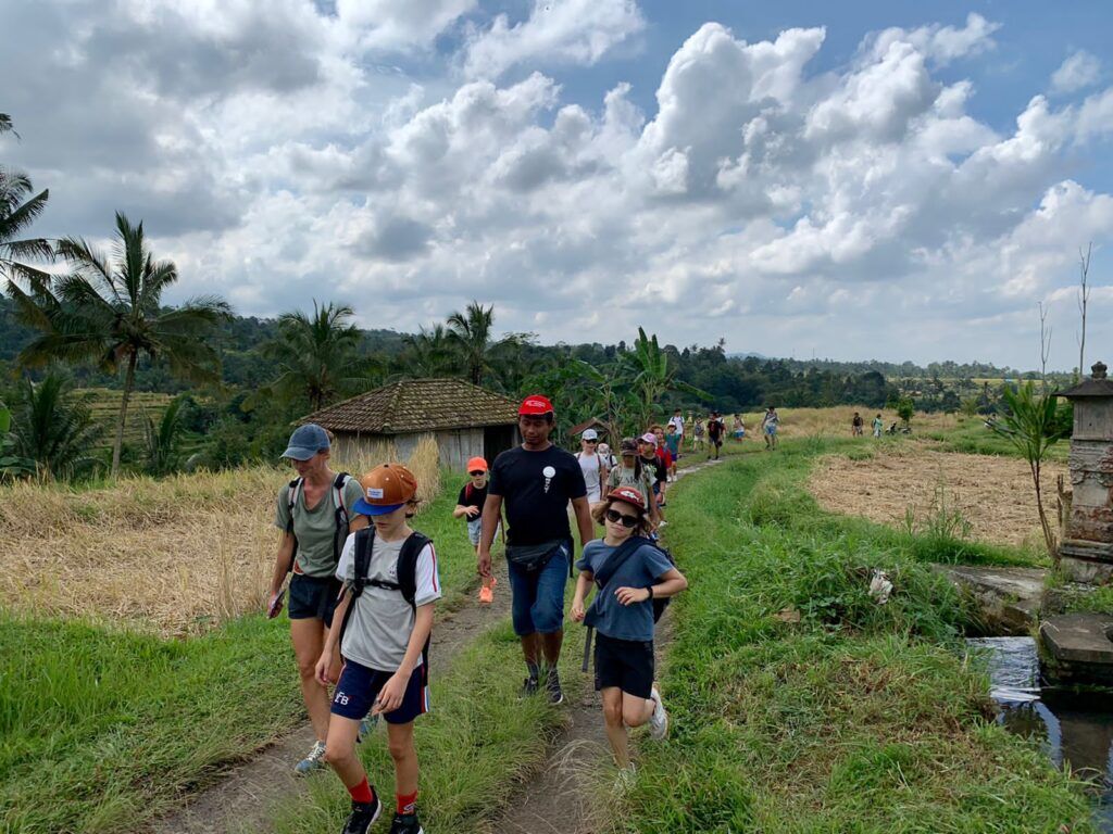 Welcome to Jatiluwih Rice Terrace, Fascinating Nature