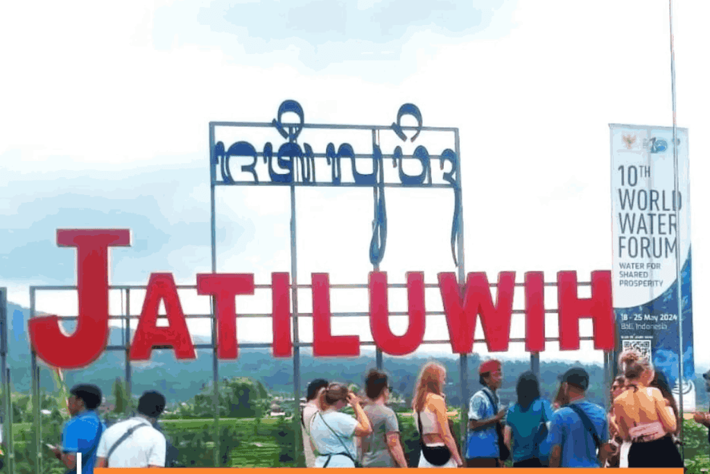 Welcome to Jatiluwih Rice Terrace, Fascinating Nature